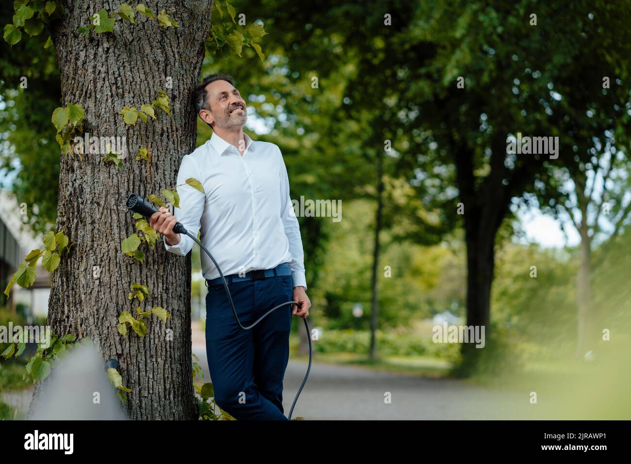 Cable holding tree hi-res stock photography and images - Alamy