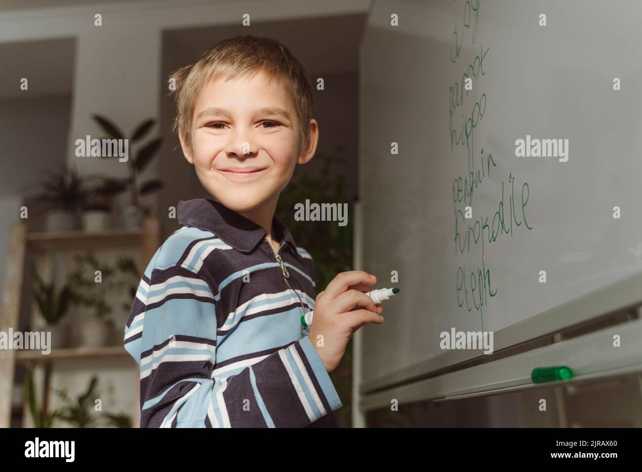Smiling boy with felt tip pen by whiteboard at home Stock Photo - Alamy