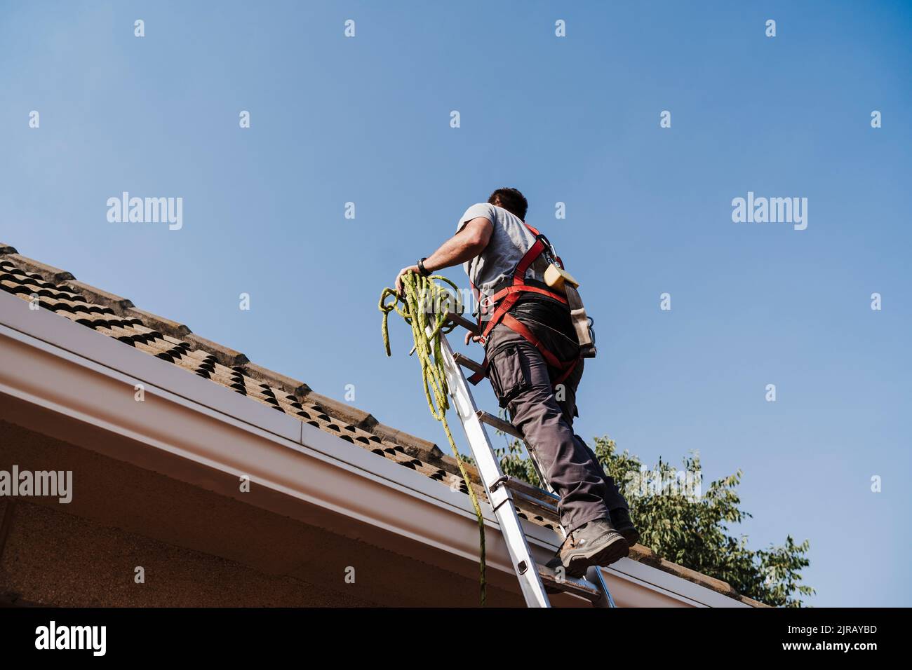 Technician moving up on ladder by house rooftop Stock Photo - Alamy