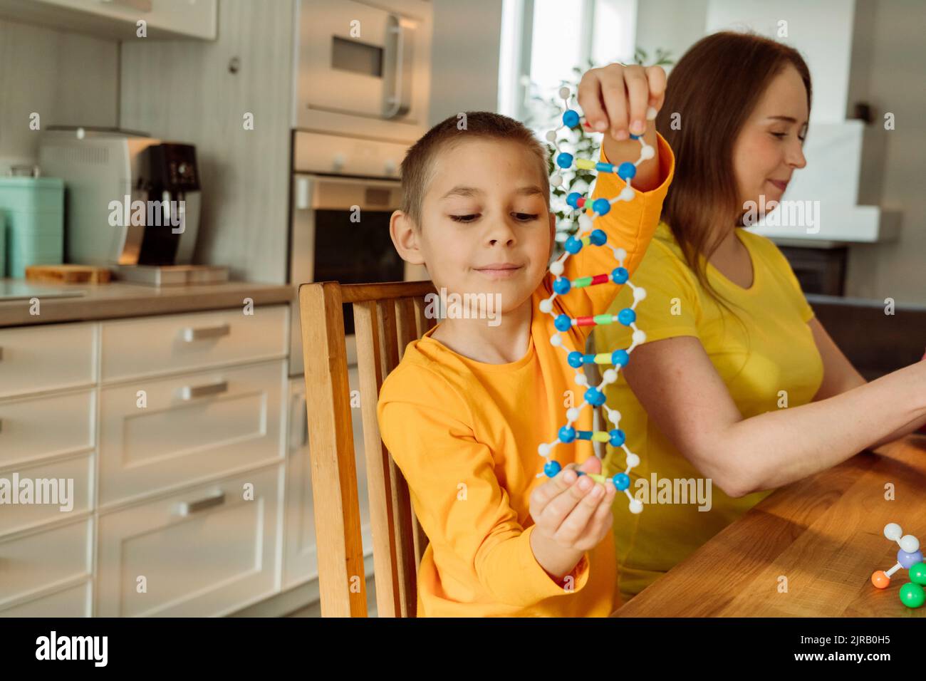 Boy holding DNA model by mother at home Stock Photo - Alamy