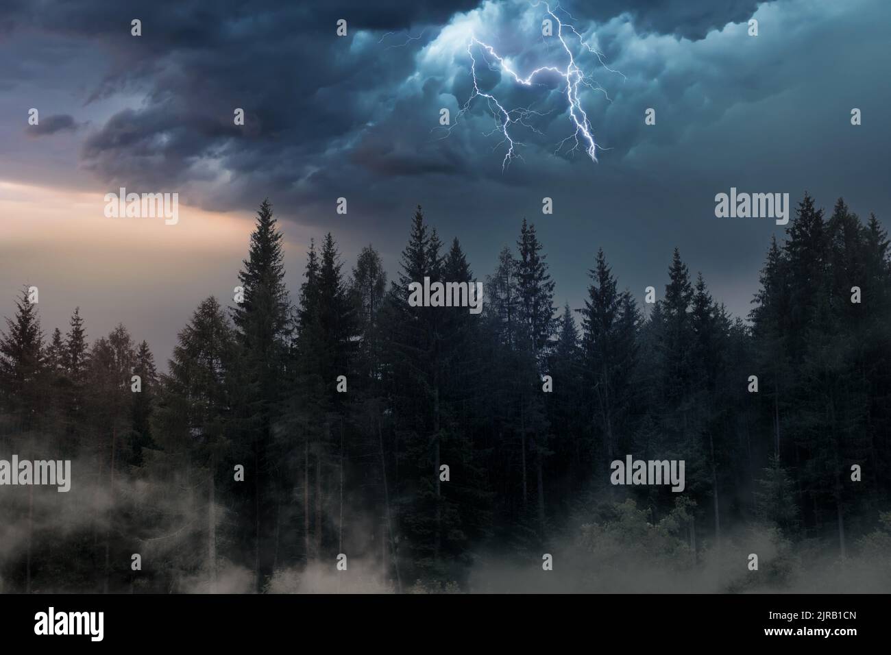 Lightning fir tree hi-res stock photography and images - Alamy