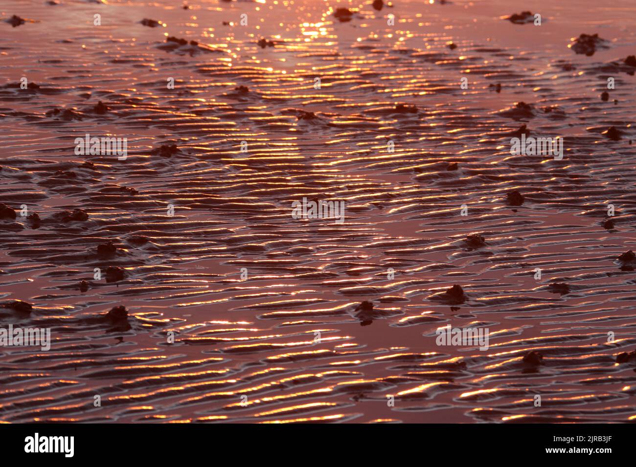 Prestwick, Ayrshire, Scotland, UK. The sun sets of the Firth of Clyde ...