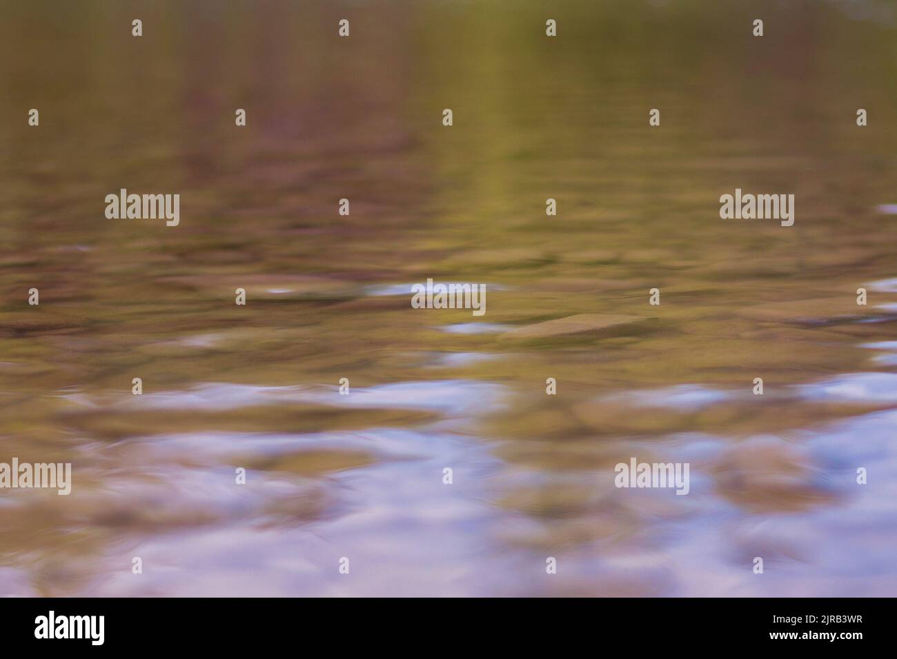 Water surface in a river or lake in nature. Texture of water liquid ...