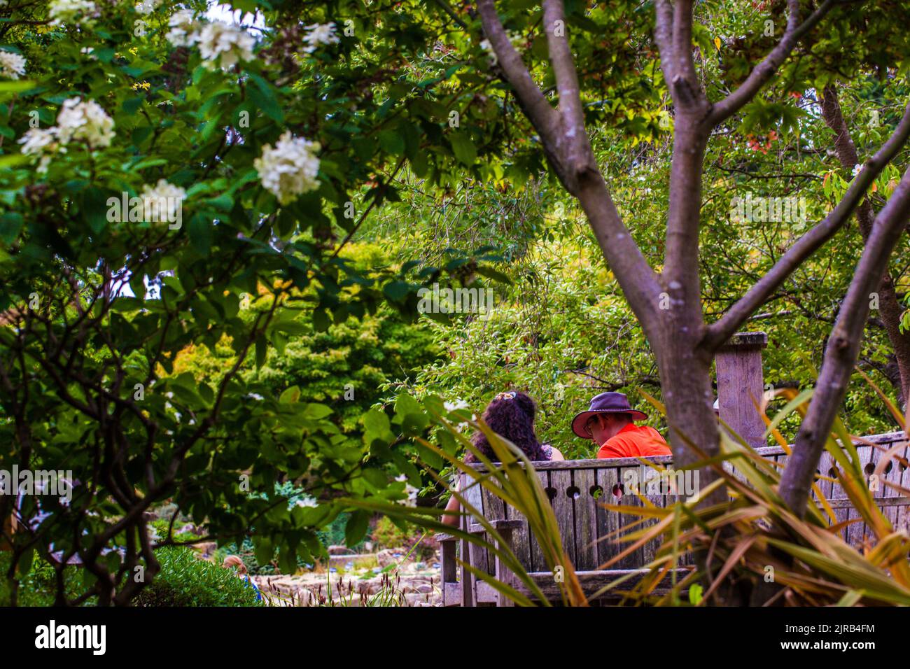 Botanical Gardening - Rear View of a couple sitting together in a ...