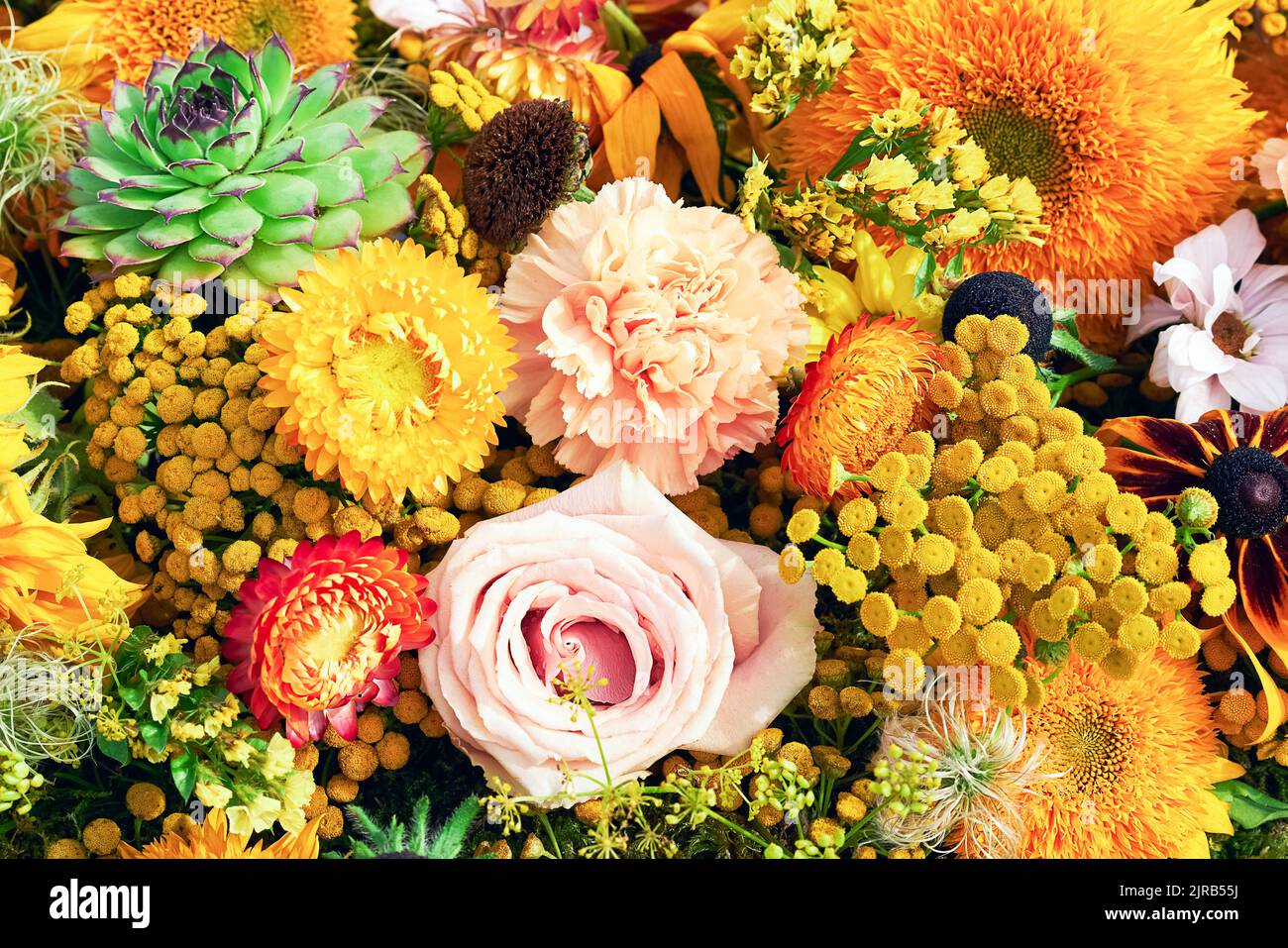Flower background hi-res stock photography and images - Alamy