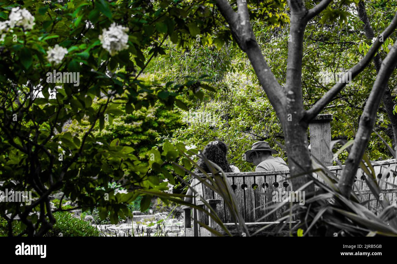 Botanical Gardening - Rear View of a couple sitting together in a ...
