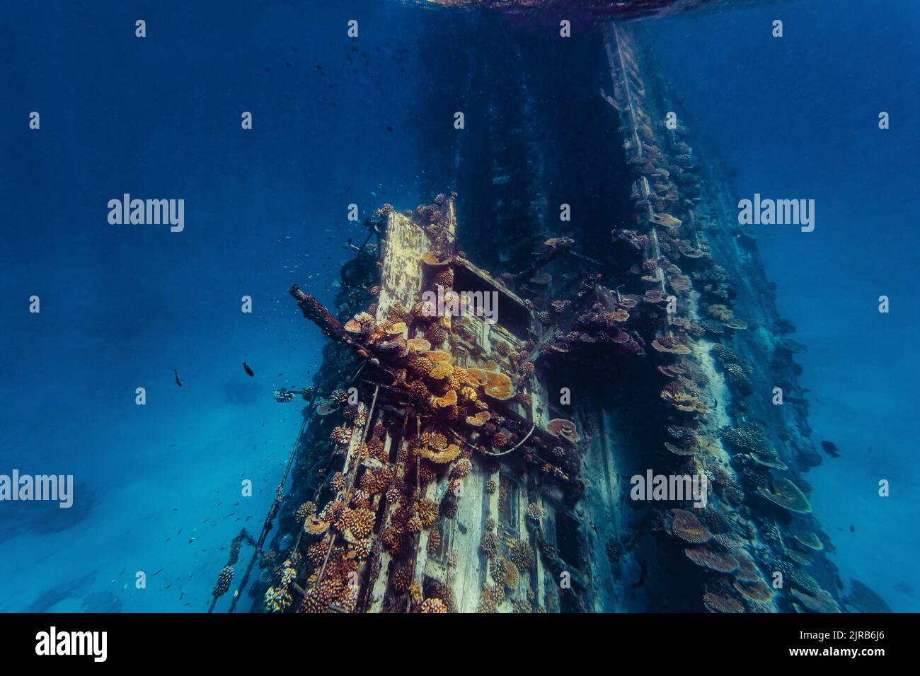 Underwater photography sunken ship wreck hi-res stock photography and ...