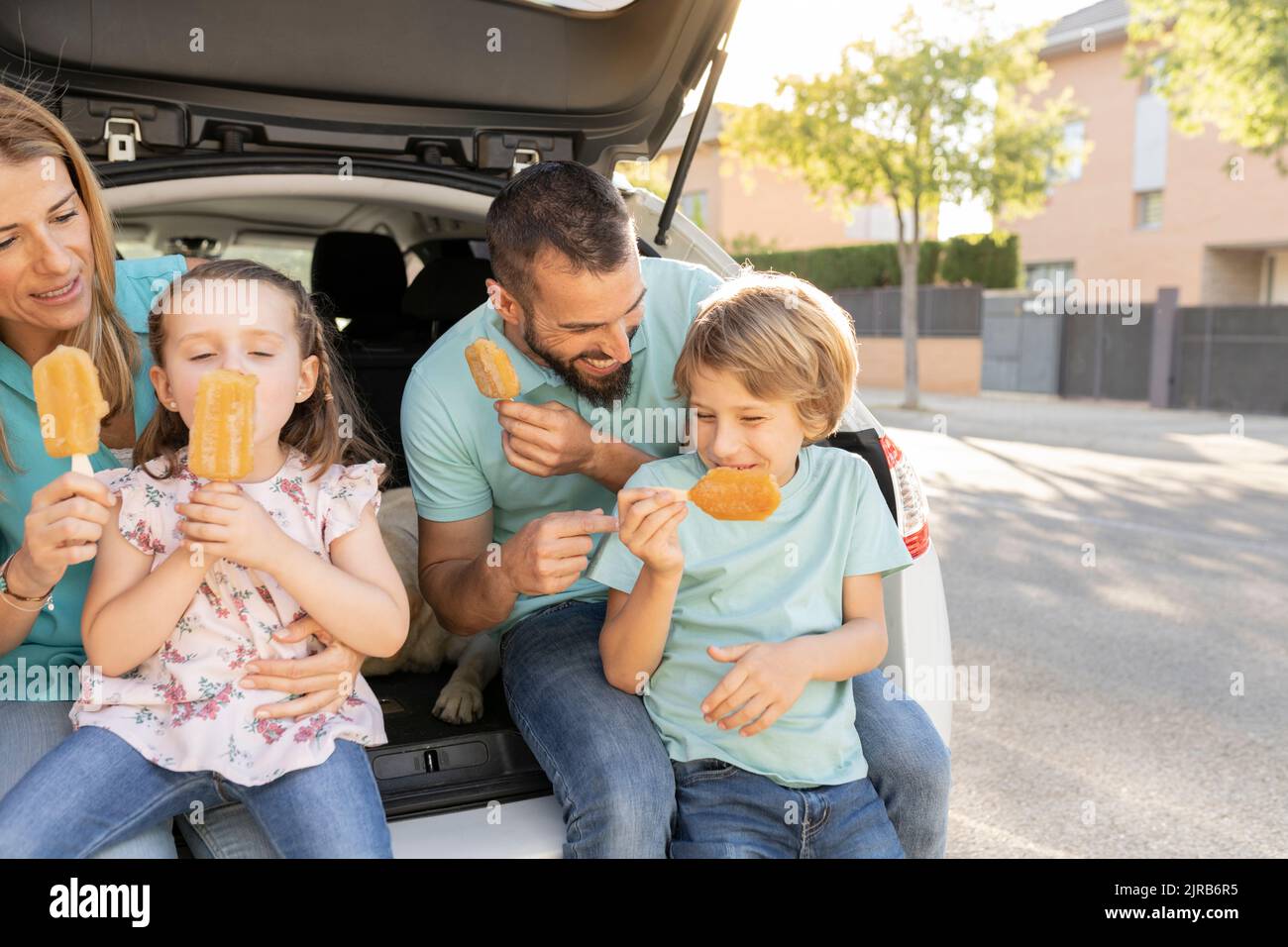 Happy family eating ice pops sitting at back of car Stock Photo - Alamy