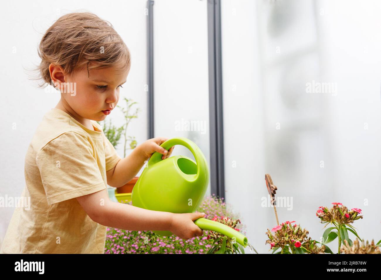 Boy pouring water on plants through watering can Stock Photo - Alamy
