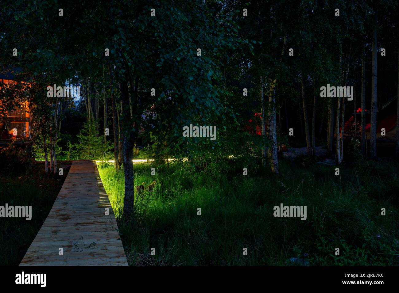 Night lights at the glamping in the forest Stock Photo - Alamy