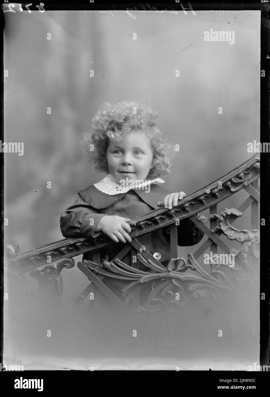 Kenneth Handley, circa 1910, Wellington, by Berry & Co Stock Photo - Alamy