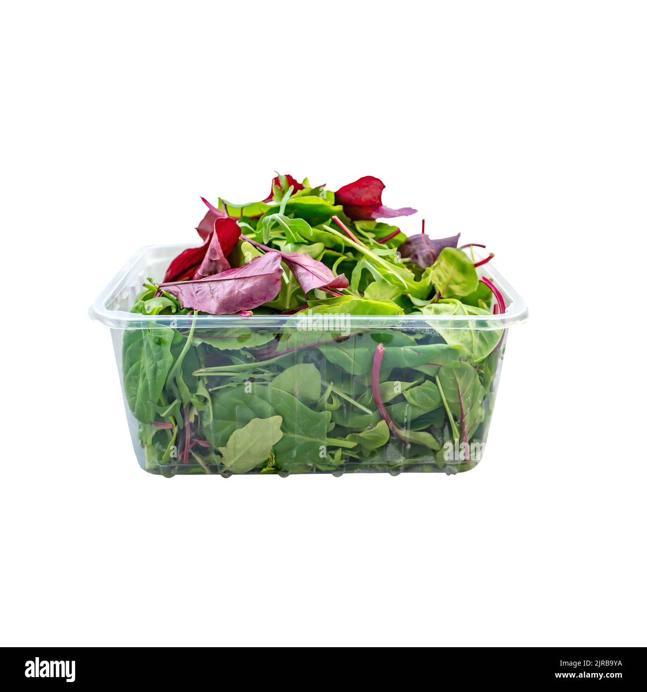 lettuce leaves in a plastic box isolate. Salad mix in a box Stock Photo ...