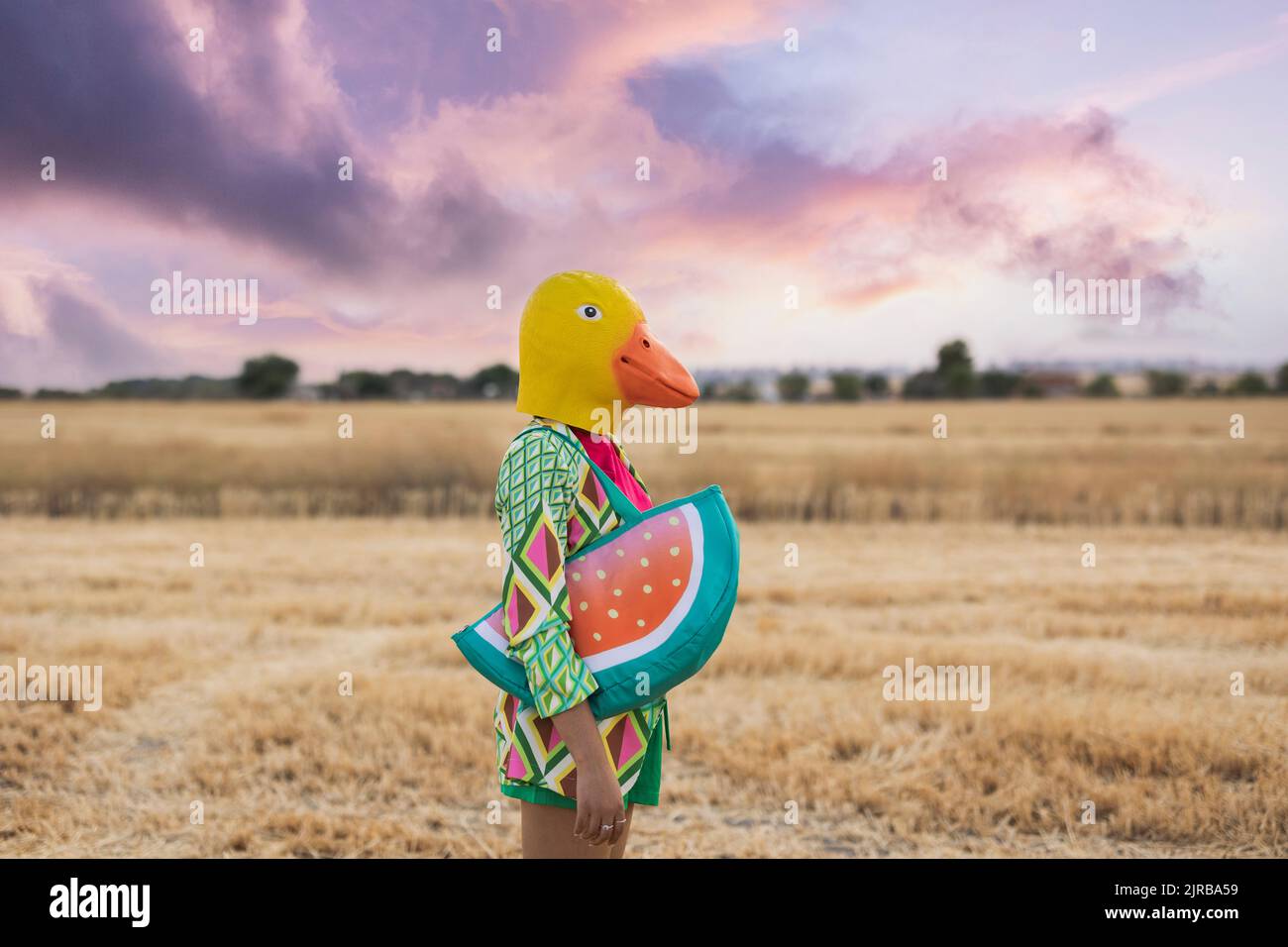 Woman wearing duck mask standing with watermelon shaped bag at field ...