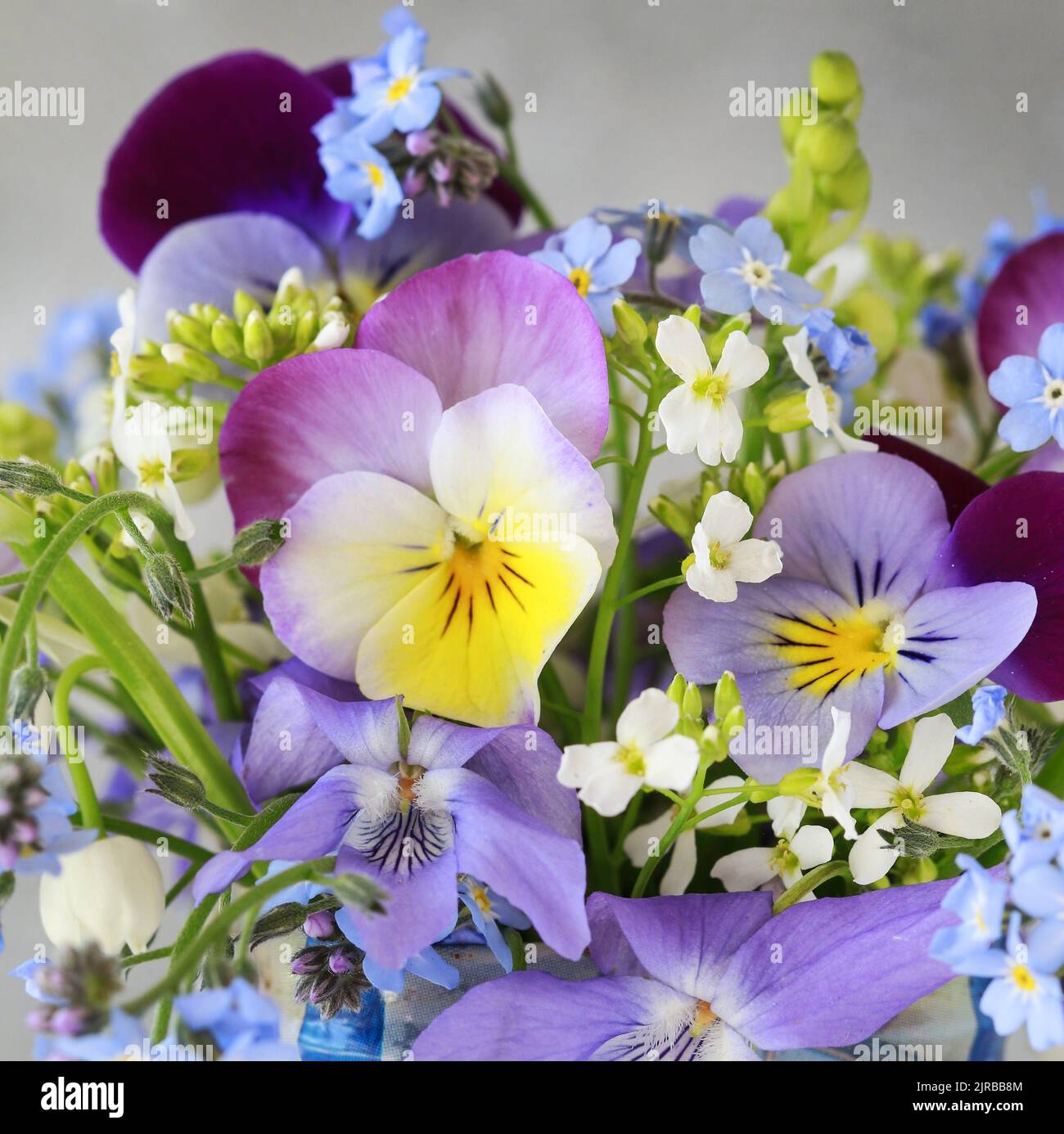 Pansy, forget-me-not, violet and lily of the valley flowers in one ...