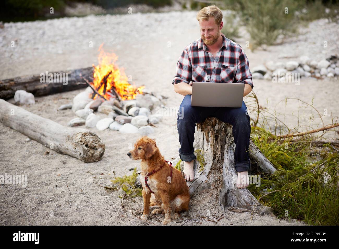 Campfire animals hi-res stock photography and images - Alamy