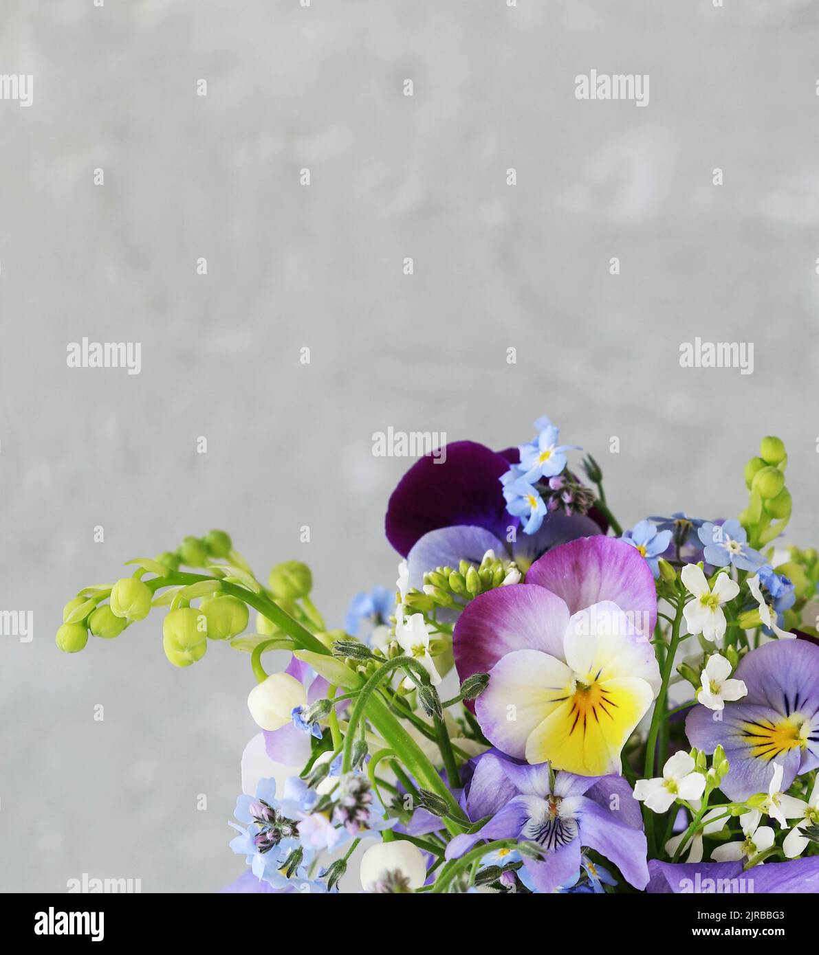 Pansy, forget-me-not, violet and lily of the valley flowers in one ...