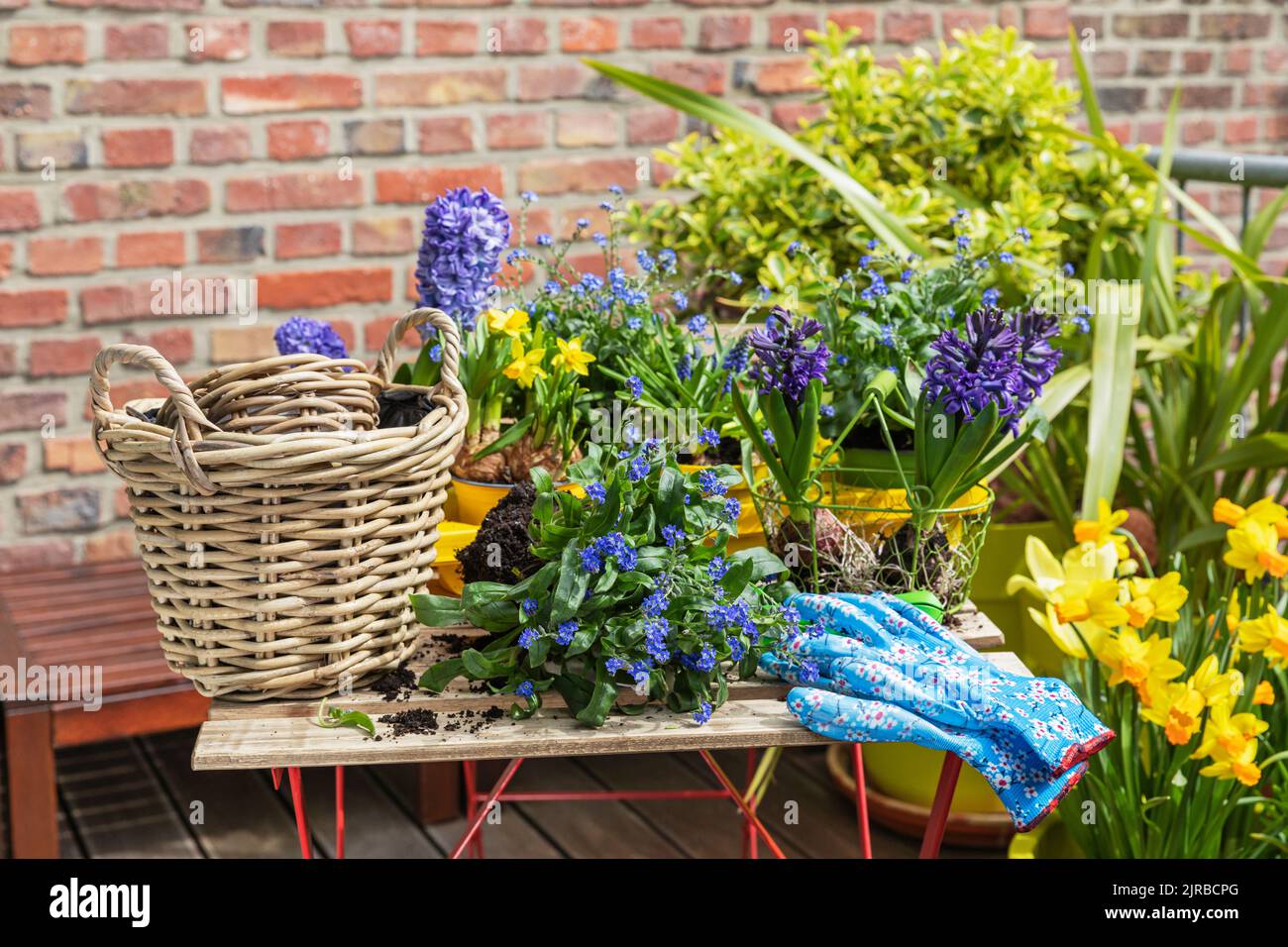 Planting of various springtime flowers in balcony garden Stock Photo ...