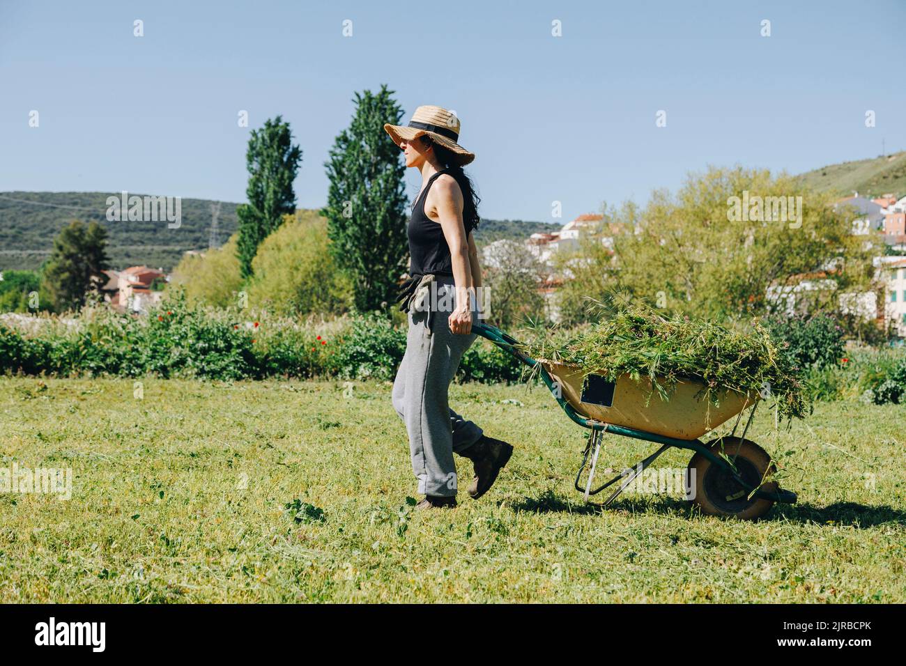 Farm worker wearing hat pulling wheelbarrow in field Stock Photo - Alamy