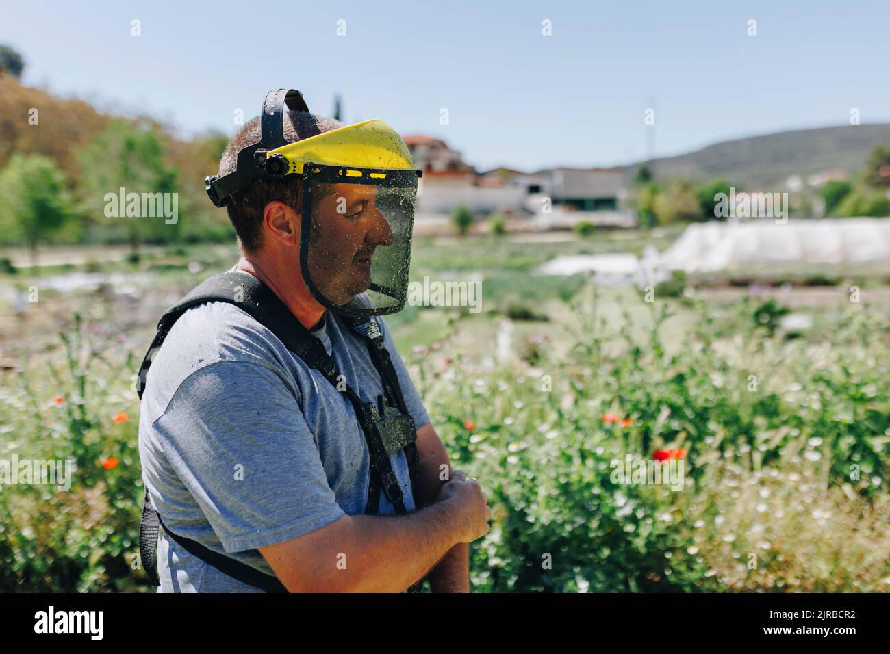 Mature farm worker wearing safety face shield working at field Stock ...