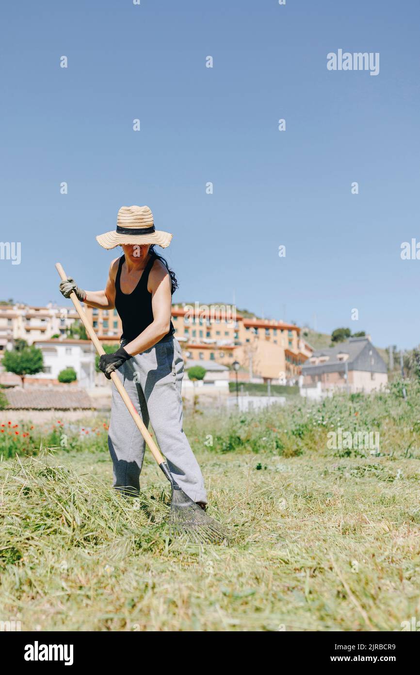 Farmer with rake on field hi-res stock photography and images - Alamy