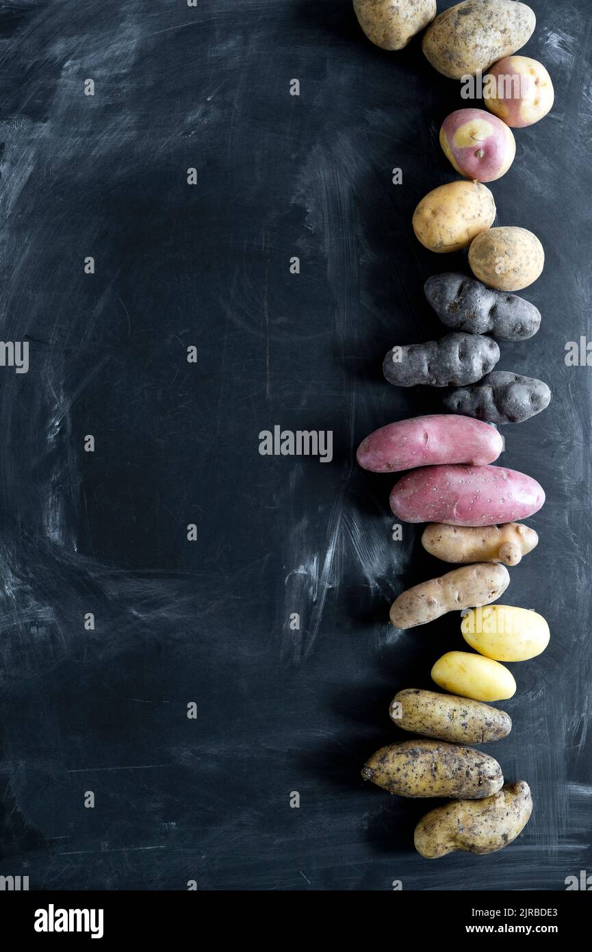 Studio shot of different varieties of potatoes flat laid against black ...