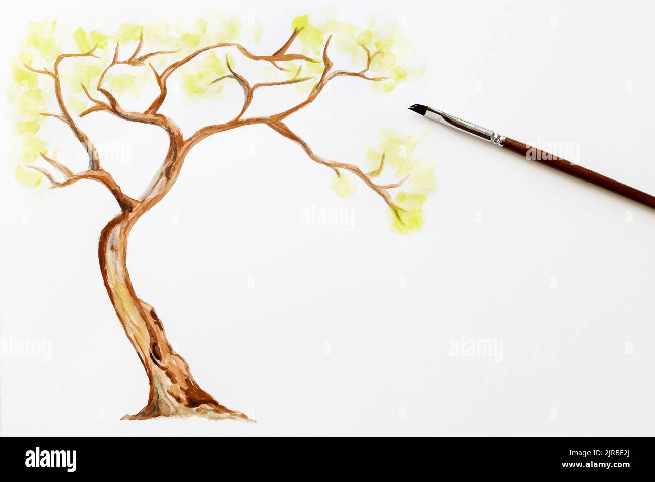 How to paint a tree using watercolours. Step by step, tutorial. Step ...