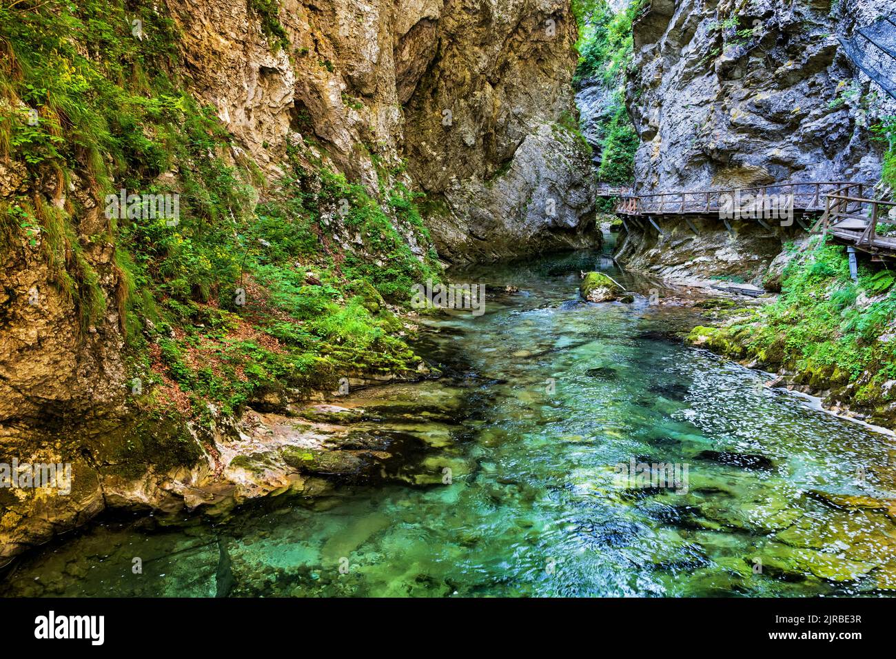 Slovenia, Radovna river flowing through Vintgar Gorge in Triglav ...