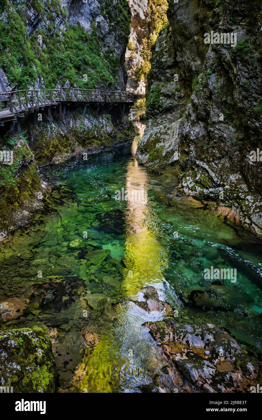 Slovenia, Radovna river flowing through Vintgar Gorge in Triglav ...