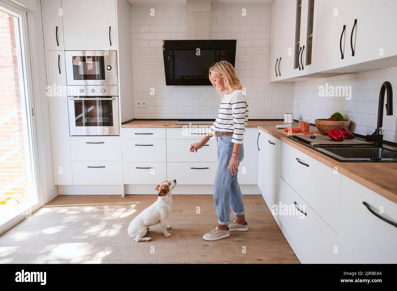 Dog eating food in kitchen hi-res stock photography and images - Alamy