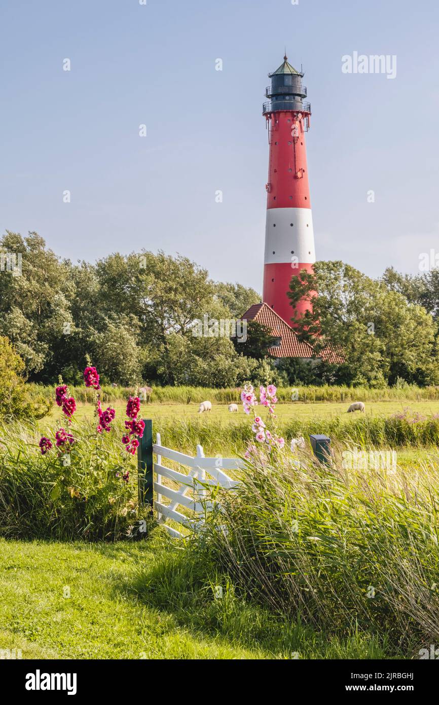 Germany, Schleswig-Holstein, Pellworm, Flowers blooming in front of rustic gate with Pellworm ...