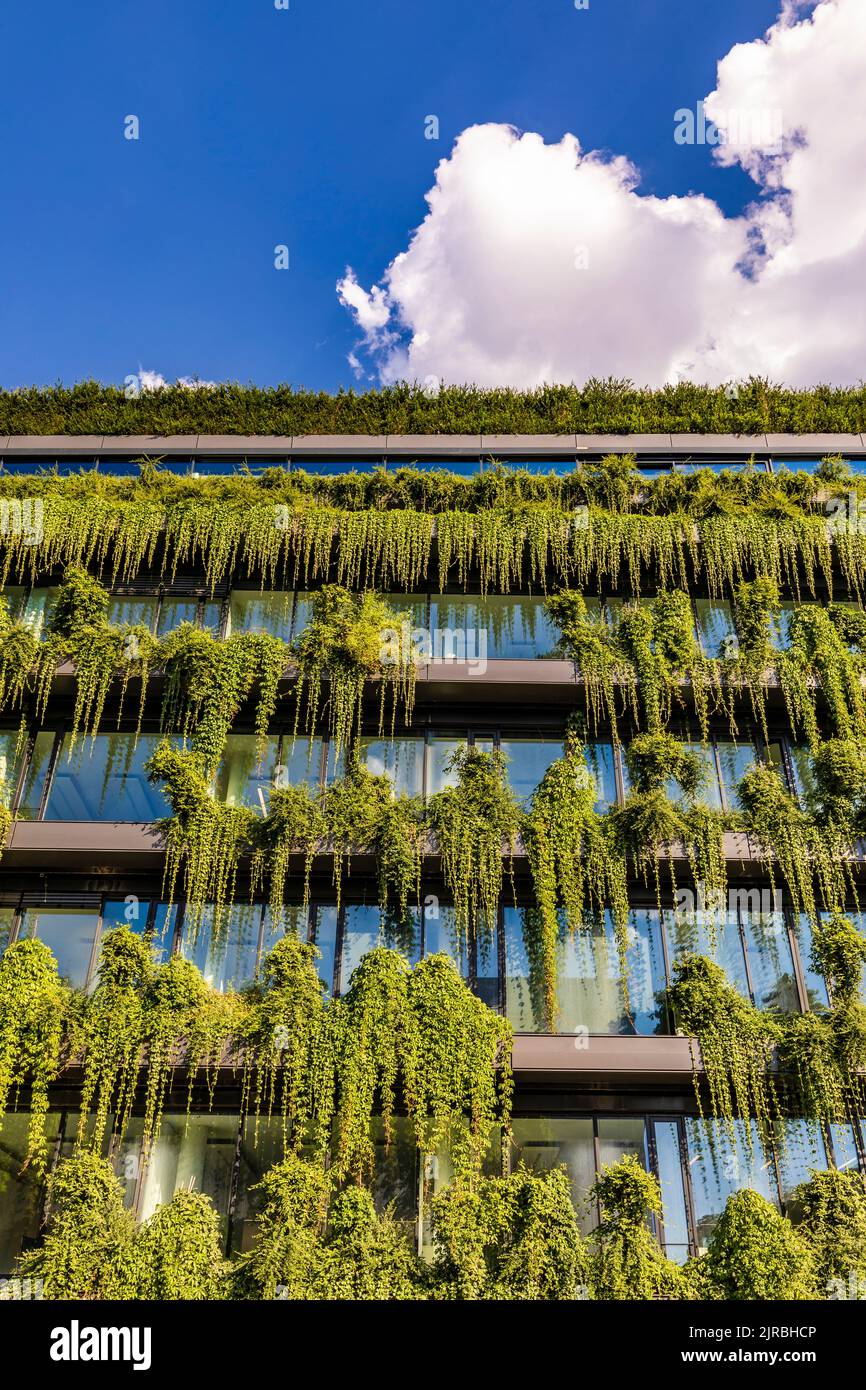 Building covered plants hi-res stock photography and images - Alamy