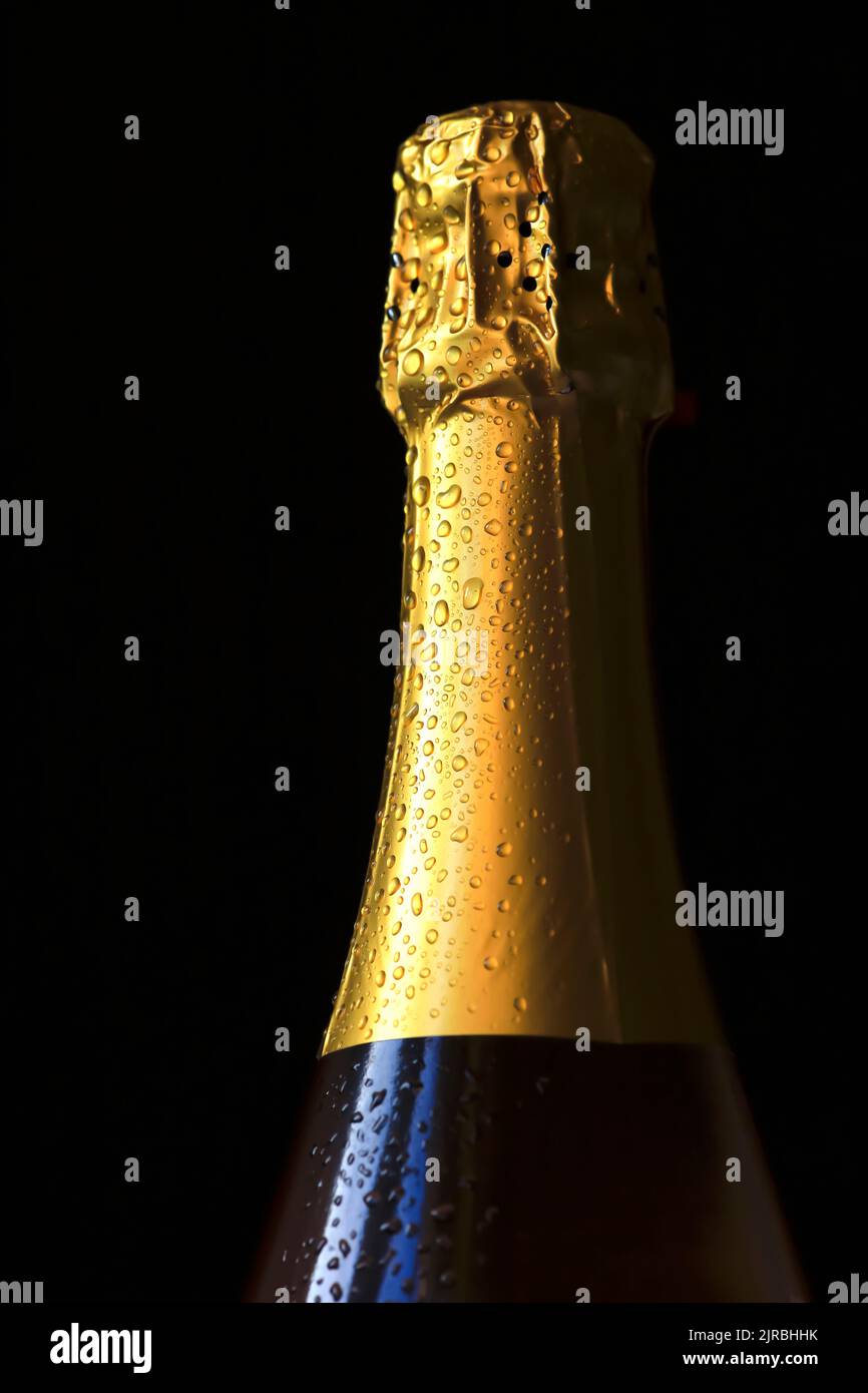 Studio shot of chilled bottle of champagne Stock Photo - Alamy