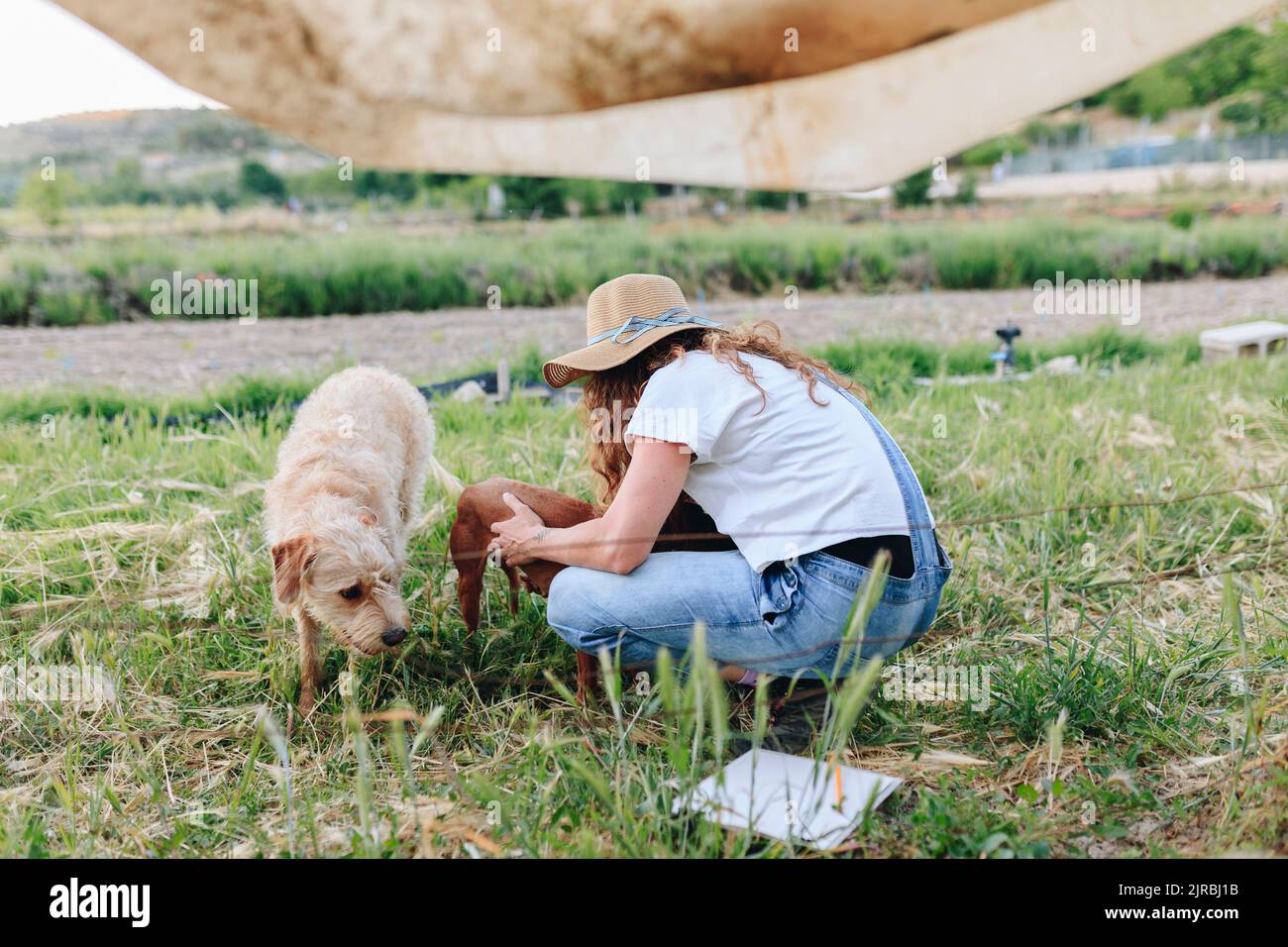 Squatting with his dog hi-res stock photography and images - Alamy
