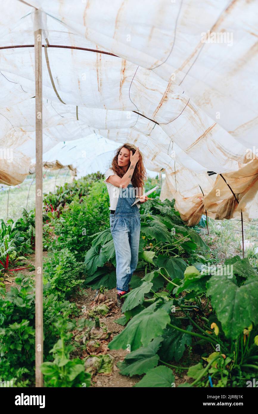 Farmer standing in vegetables greenhouse Stock Photo - Alamy