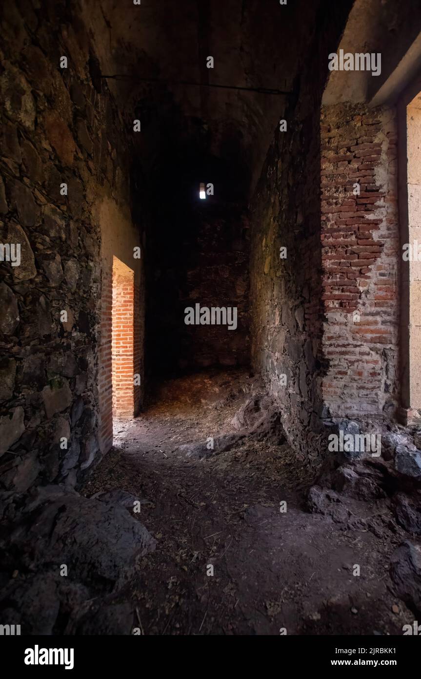 old abandoned building, nature grows back brick Stock Photo - Alamy
