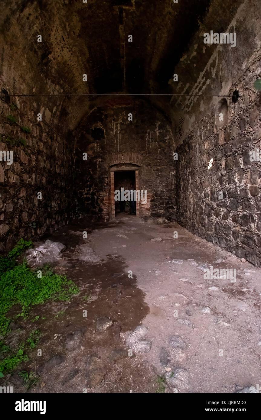old abandoned building, nature grows back brick Stock Photo - Alamy