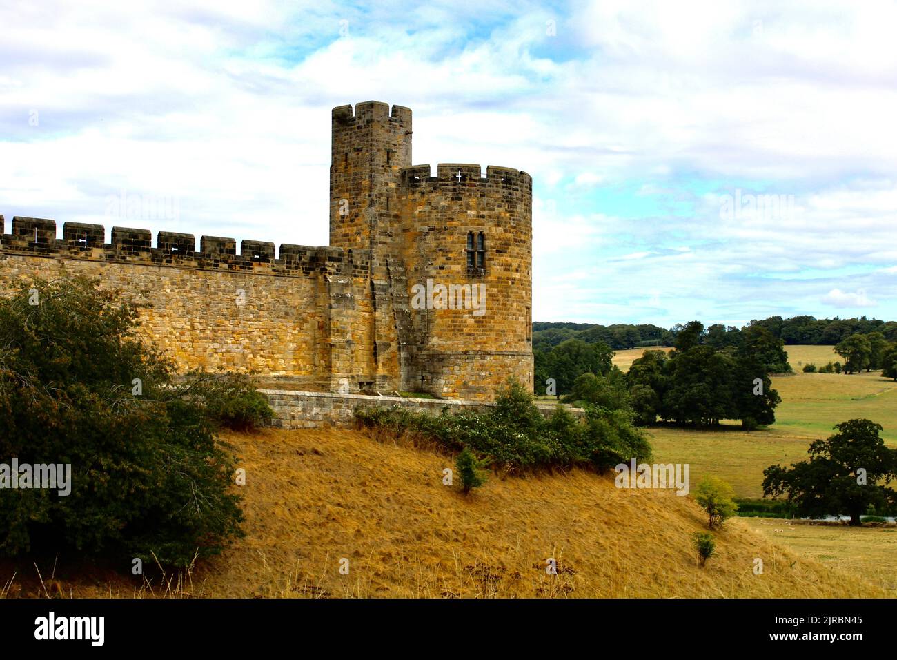 The Alnwick Castle with dried grass fields and green bushes in the yard ...