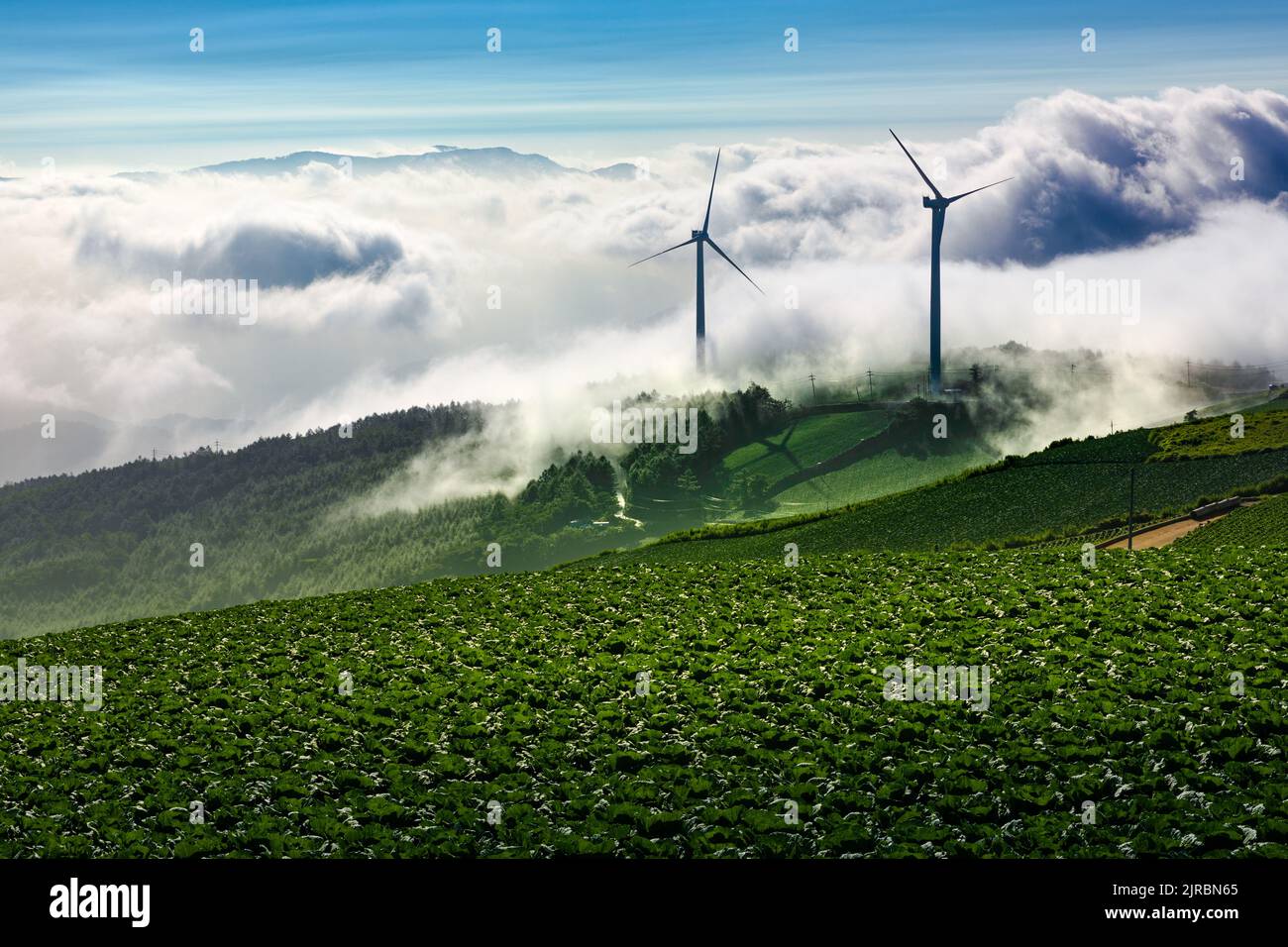 Wind turbine landscape among clouds spreading over mountains in an ...