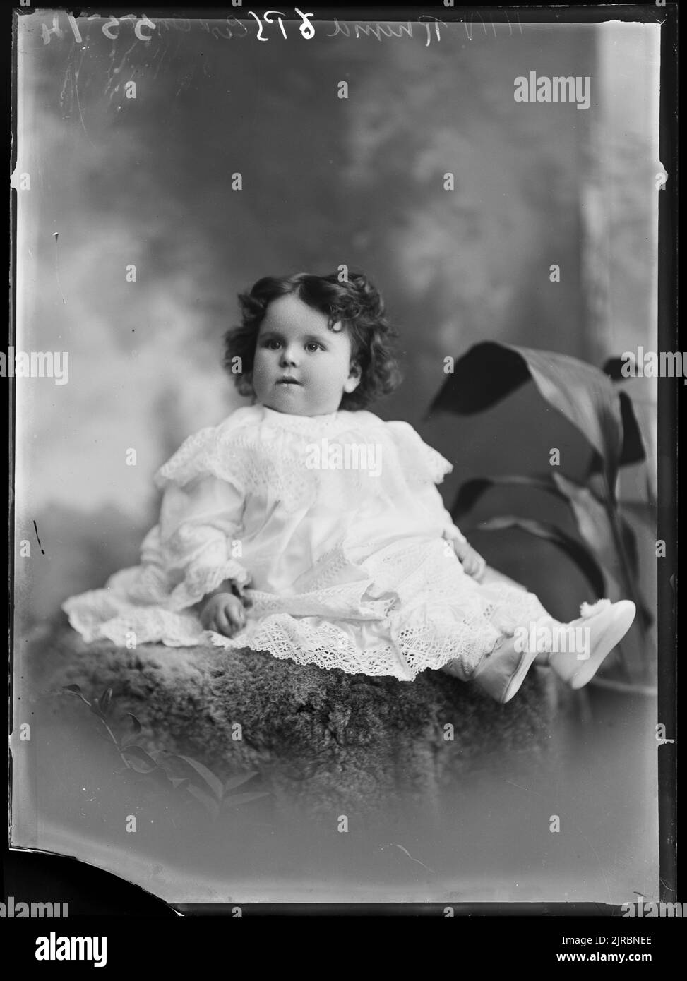 Rhynd 6 PS, circa 1920, Wellington, by Berry & Co Stock Photo - Alamy