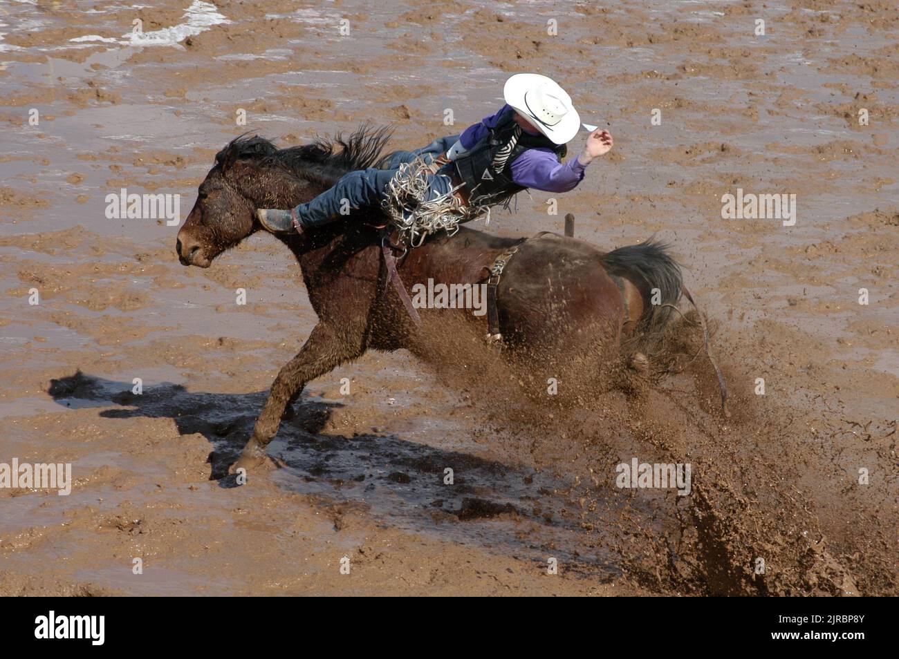 A day at the Rodeo Stock Photo - Alamy