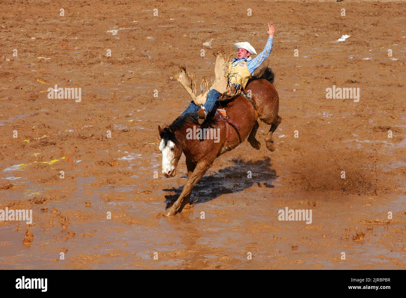 A day at the Rodeo Stock Photo - Alamy