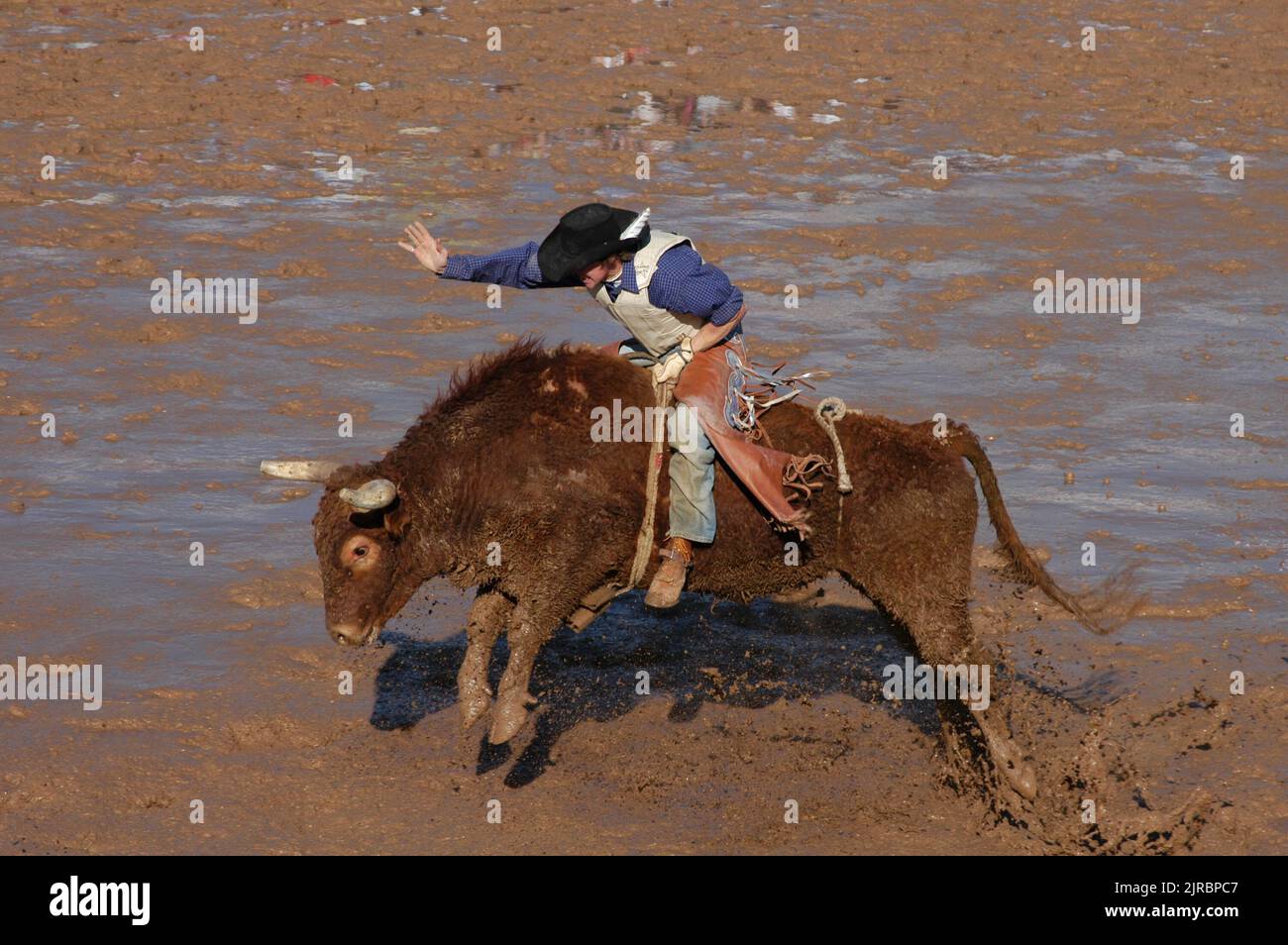 A day at the Rodeo Stock Photo - Alamy