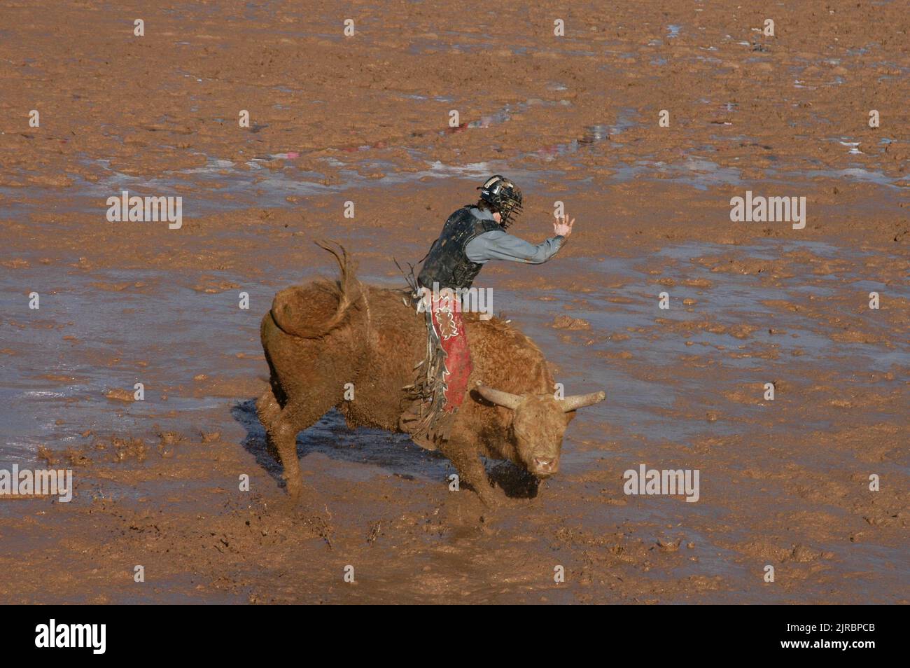 A day at the Rodeo Stock Photo - Alamy