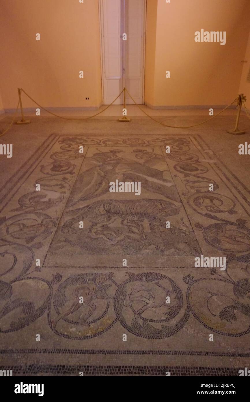 Larino - Molise - Palazzo Civico - Archaeological Museum - The precious ...