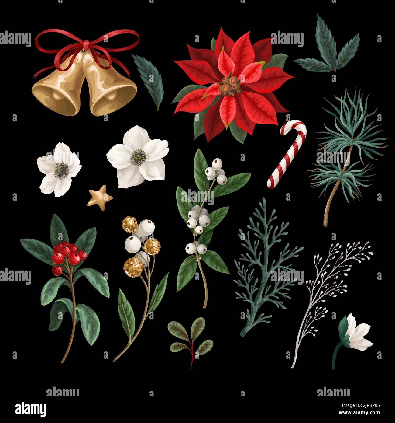 Christmas botanical plants, flowers and bells isolated. Textile or ...