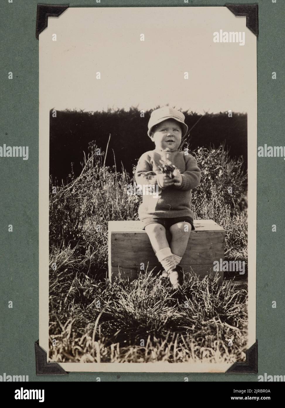 Brian brake brian brake hi-res stock photography and images - Alamy