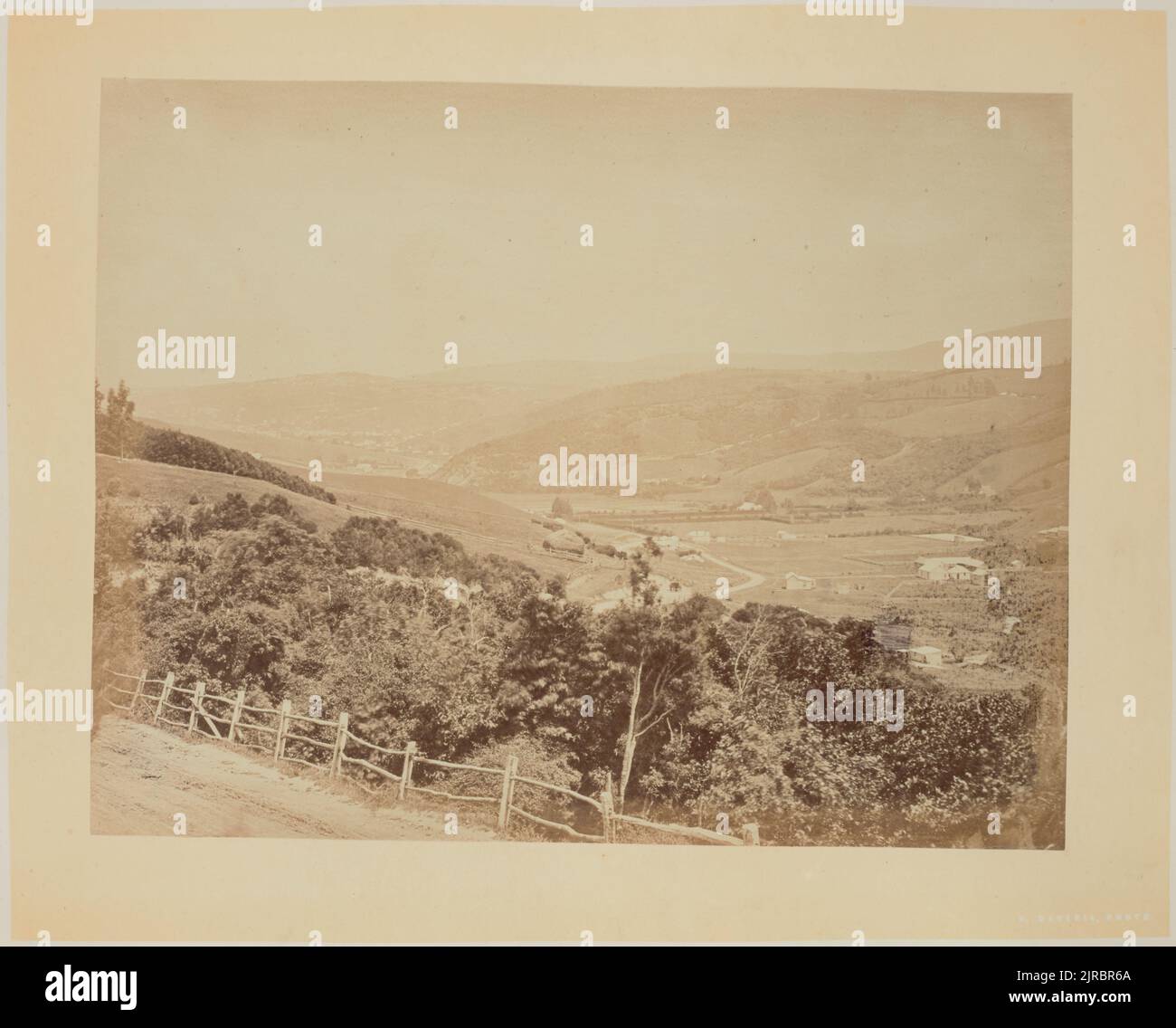 The North-East Valley, Dunedin, New Zealand, 1873-1891, Dunedin, by ...