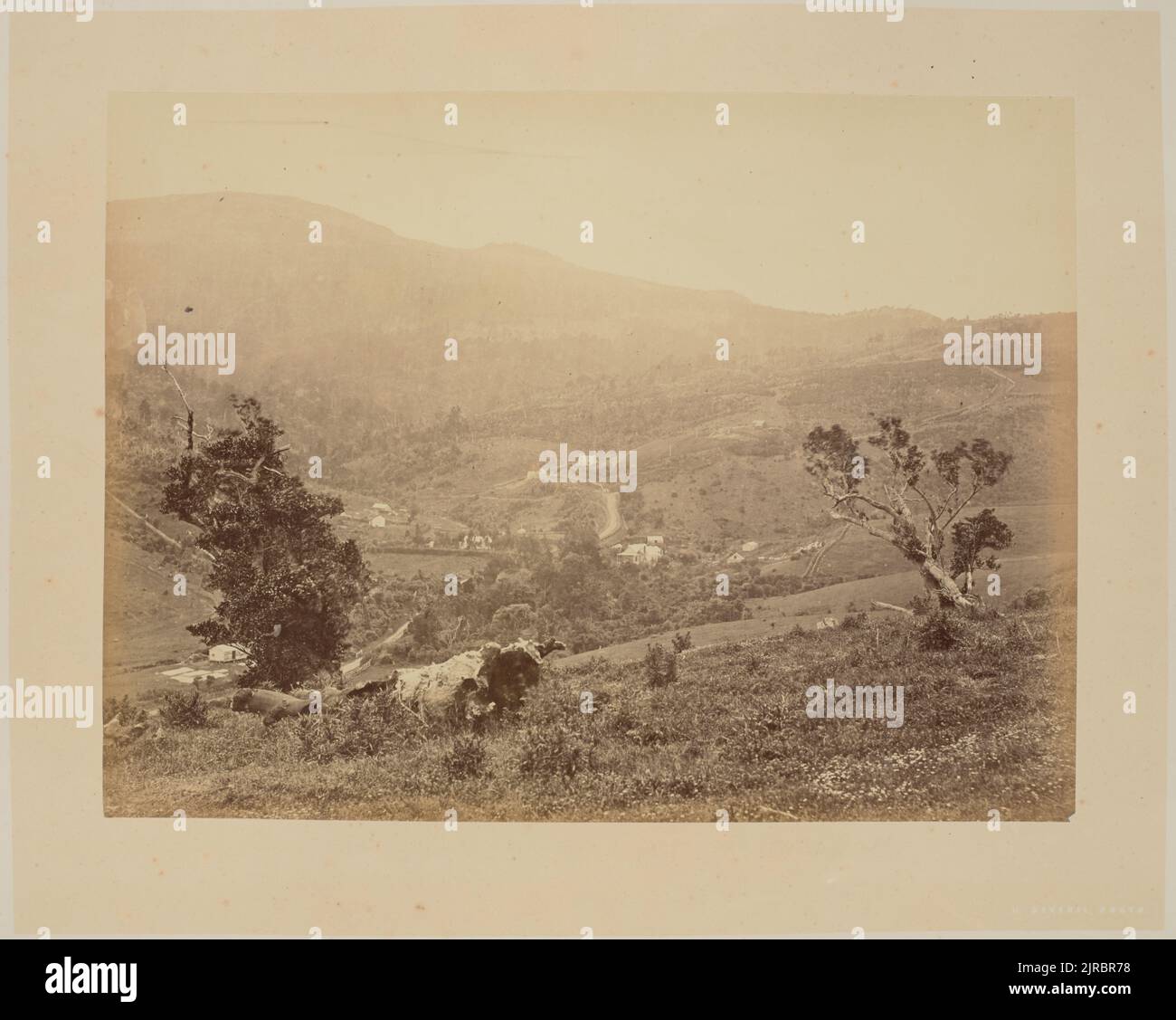 Dunedin the head of the n hi-res stock photography and images - Alamy