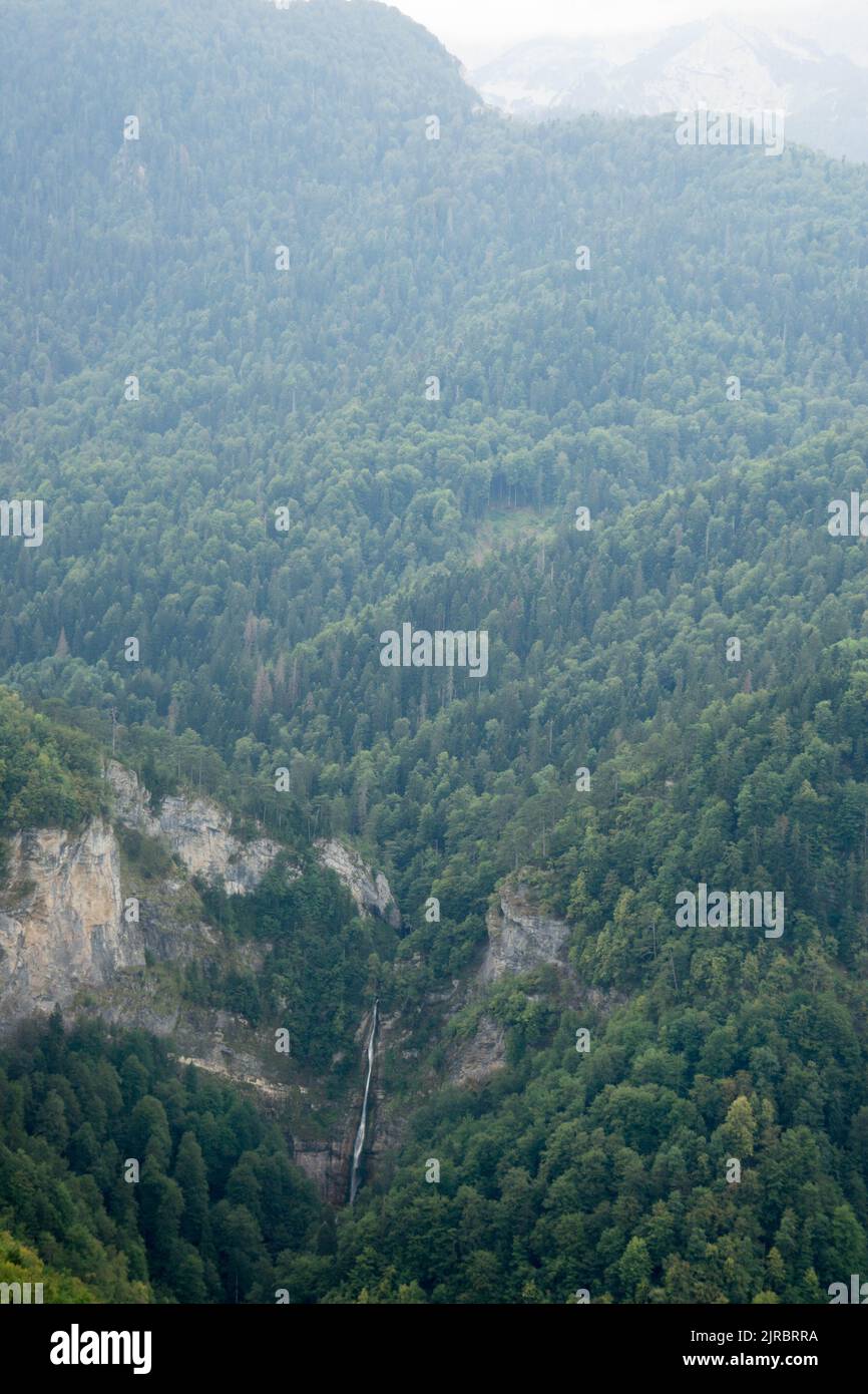 Perućica Forest Reserve in Sutjeska national Park, Bosnia and ...