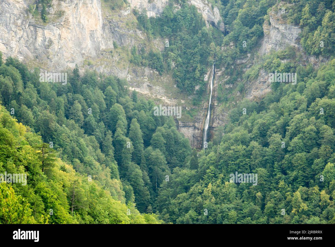 Perućica Forest Reserve in Sutjeska national Park, Bosnia and ...